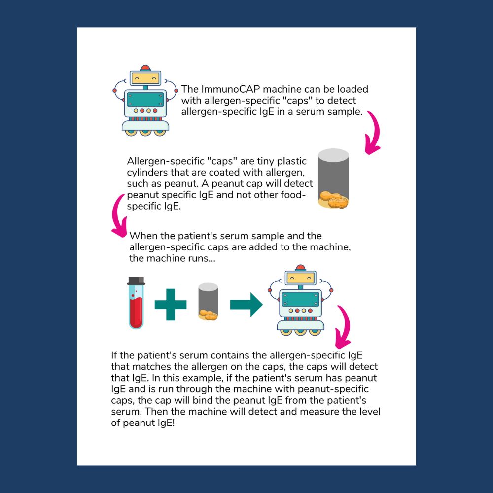 The Mamma's Guide to Food Allergy Skin & Blood Testing